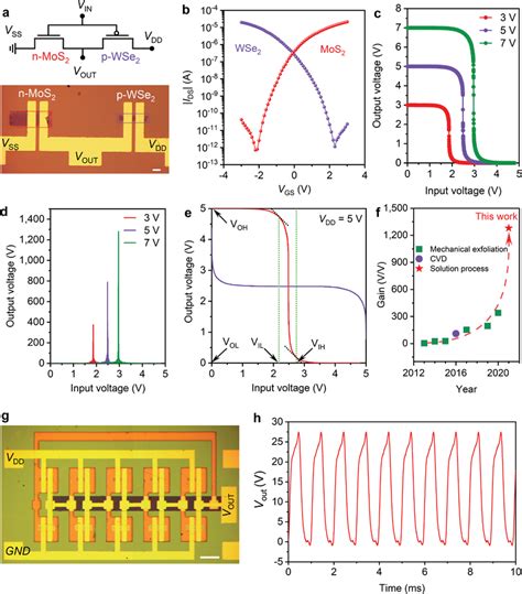 Solution‐processed Cmos Inverter And Ring Oscillator A Circuit Download Scientific Diagram