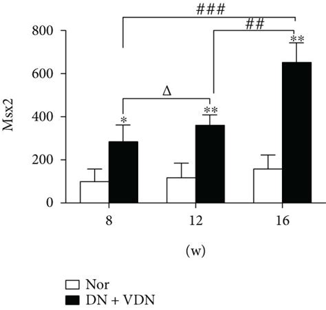 detection of notch1 rbp jk msx2 jagged1 and n1 icd levels by download scientific diagram