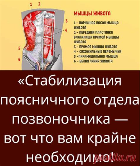 «Стабилизация поясничного отдела позвоночника — вот что вам крайне н ...