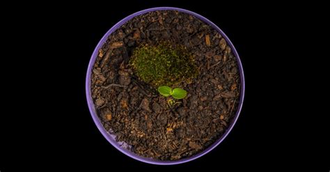 Building An Esg Controls Framework Deloitte Uk