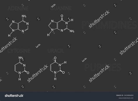 21 Pyrimidine 3d Stock Vectors And Vector Art Shutterstock