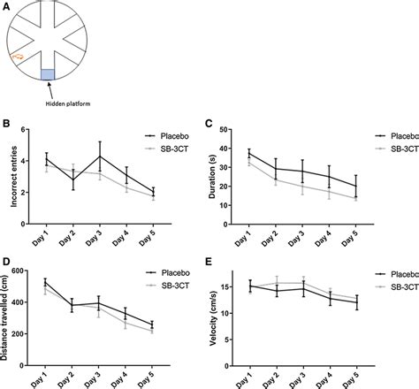 Spatial Memory Testing Of Male Mice Using The Rawm Sb 3ct And Download Scientific Diagram