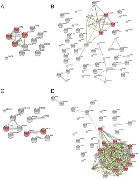 Protein Association Networks Detected Using The String Database