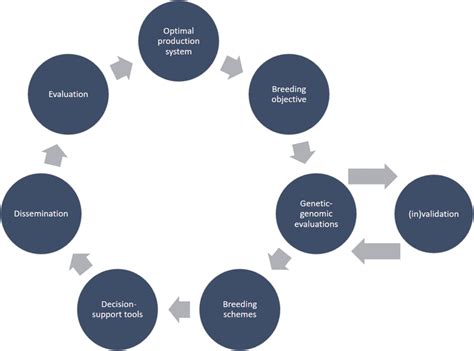Components Of A Successful Breeding Programme Download Scientific