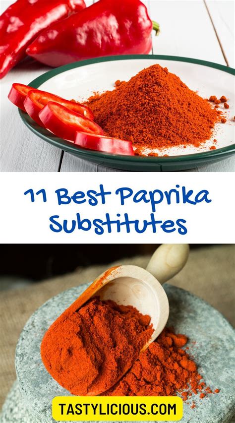 11 Best Paprika Substitutes In Cooking Tastylicious Paprika