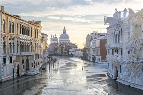 Reflect On The Impact Of Global Migration Crises D Generative Ai Premium Ai Generated Image