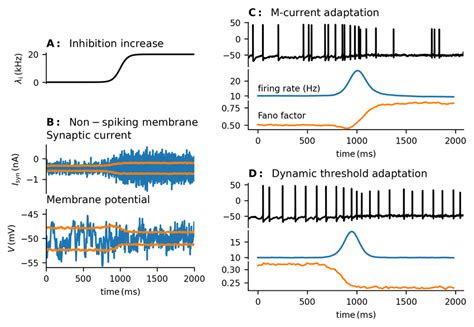 A During A 2 S Long Simulation The Intensity Of Inhibitory Input