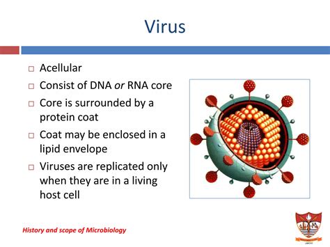 Branches History And Scope Of Microbiology Pdf