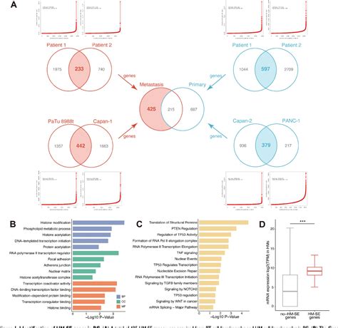 Figure 1 From Comprehensive Machine Learning Generated Classifier