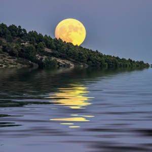 What S The Difference Between Full Moon And New Moon Energy