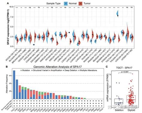 最新8 单基因泛癌分析结合表达验证，经典思路永不过时！ 知乎