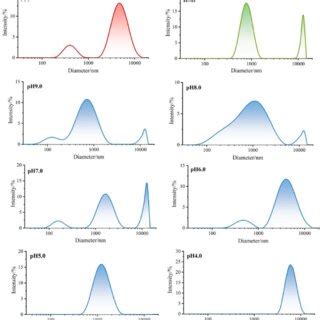 SEM Of PPI HMP And PPI HMP Mixtures At Different PH Download Scientific Diagram