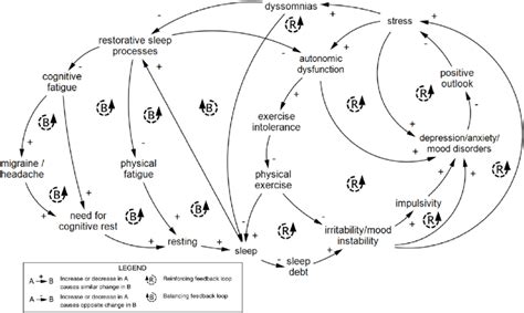 Feedback Loops Within The Experiential Scale Of Concussion A Series Download Scientific