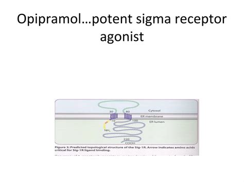 Opipramol By Dr Ajay Nihalani Ppt