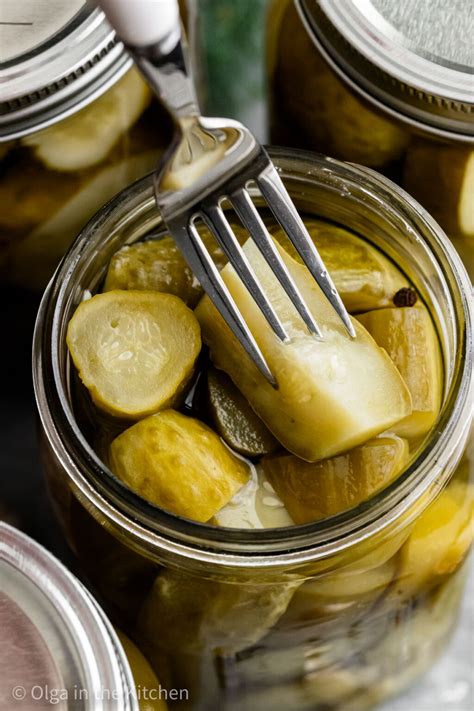 Easy Homemade Dill Pickles Olga In The Kitchen