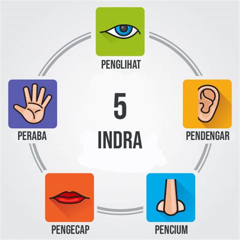 FORMATIF 1 PANCA INDRA 4th Grade Quiz | Quizizz