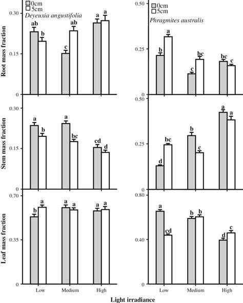 Biomass Allocation Patterns Of Mean ± Se N 5 Deyeuxia Angustifolia