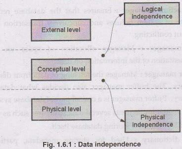 Data Independence Relational Databases Database Management System