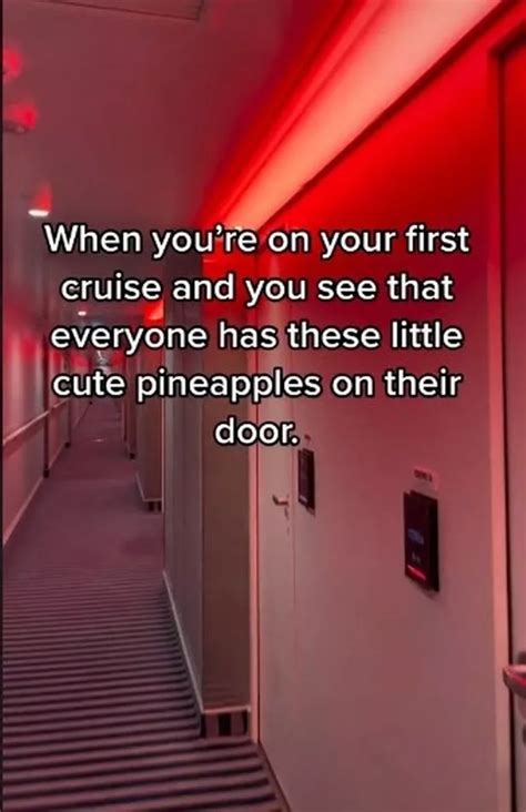 Cruise Ship Passenger Mortified By X Rated Meaning Of Cute Pineapple Stickers On Doors Daily