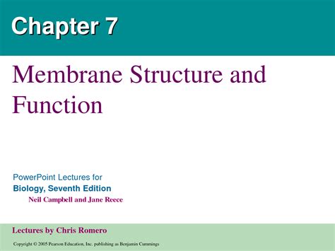 Solution Chapter7 Membrane Structure And Function Studypool