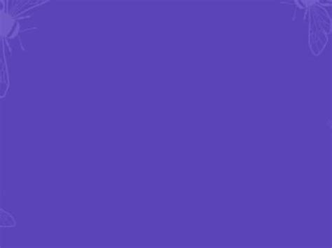 Outlet Dames • 30 Korting