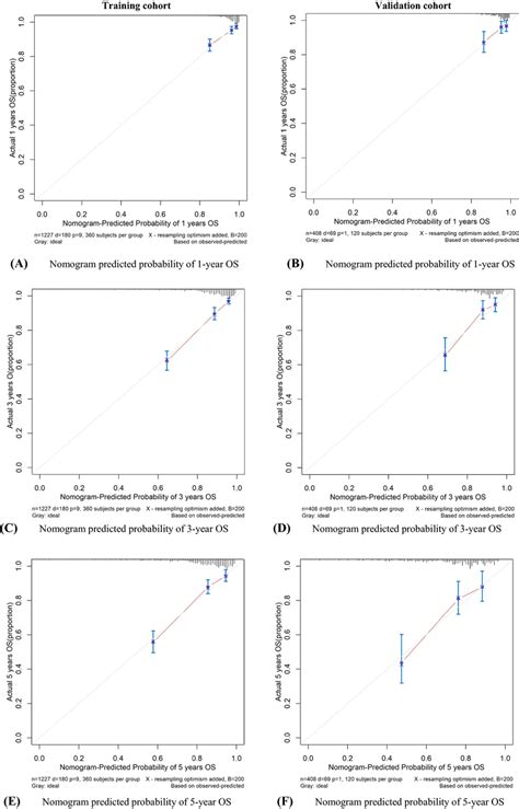 The Calibration Curves For Predicting Patient Os At 13 And 5 Years In