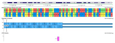 Variant Classification A Comparison Of Annovar SNPeff And VEP