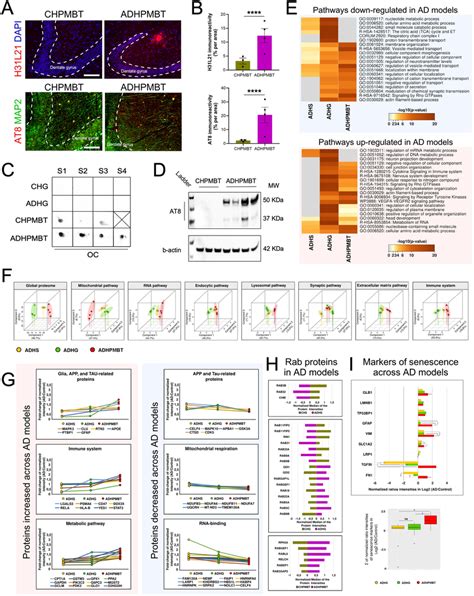 Label Free Quantitative Proteomics Reveals Common And Distinctive Download Scientific Diagram