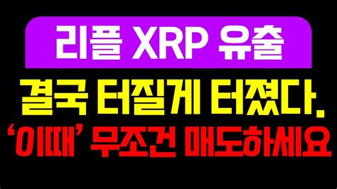 엑스알피 리플 미친건가요 여러분 이날 전엔 모두 매도하세요 Youtube