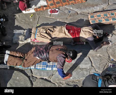 Prostate Tibetan Females Stock Photo Alamy