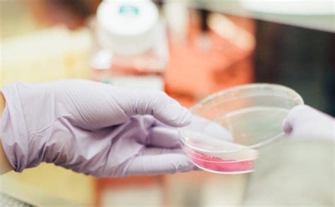 How To Test Your Javascript With Selenium Webdriver And Mocha — Sitepoint