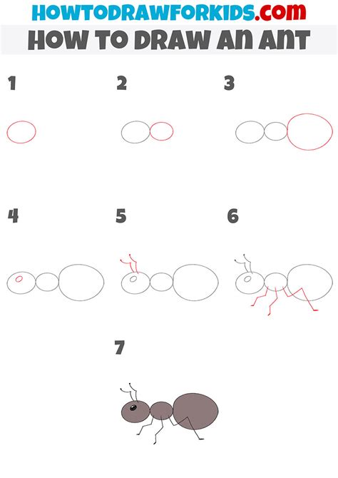 ant drawing easy step by step at gladys zachery blog