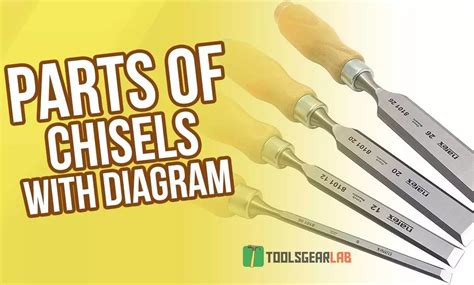 Parts Of A Chisel With Detailed Diagram Picture Toolsgearlab