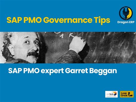 sap pmo governance tips that work dragon erp — dragon erp