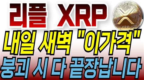 리플 엑스알피 Xrp 주말 새벽 이가격 붕괴시 다 끝장 납니다 리플 리플코인 리플xrp 리플전망 리플코인전망 엑스알피 Youtube