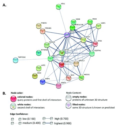 Functional Enrichment Analysis Of Protein Protein Interaction Networks Download Scientific