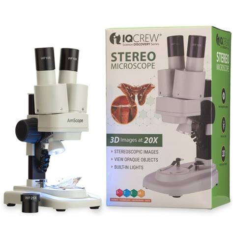 Stereo Microscope