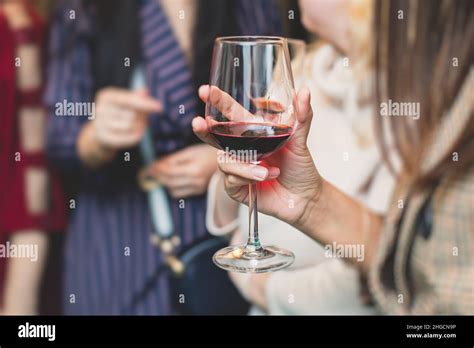 Process Of Wine Party Testing At Vineard Friends Having Fun Drinking