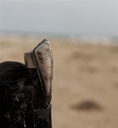 Fossil Palm Root Ring With Engraved Bone — Feral Blue
