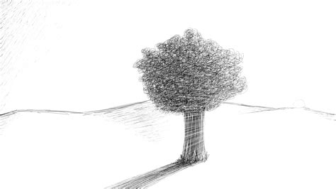 Tree Drawing Wallpapers Top Free Tree Drawing Backgrounds