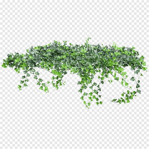 Greenery Greenery Garden Png Pngegg