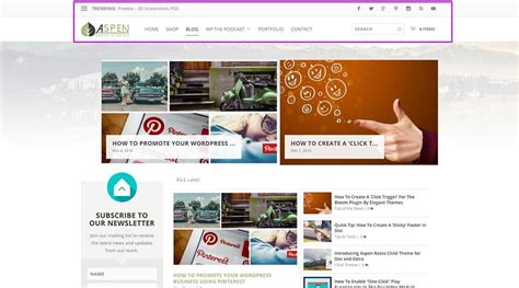 Divi Quick Tip How To Hide The Secondary Navigation On Scroll Wp Zone