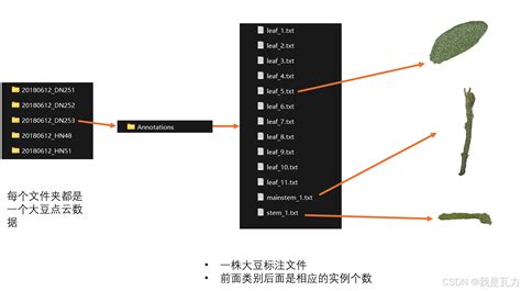 点云实例分割 Softgroup 训练自己数据集 Csdn博客