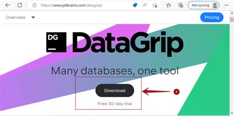 Install DataGrip IDE On Windows 11 TestingDocs