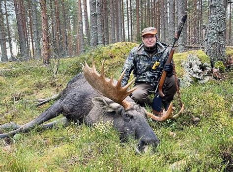 Micael Firade 60 årsdagen På Pass Då Kom Hans Livs älg Svensk Jakt