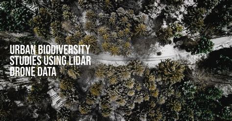 Coastal Urban Planning And Flood Risk Assessment With Lidar Drones