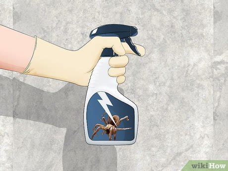 How To Get Rid Of Spider Webs Cleanliness Tips Prevention