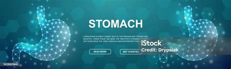 승진 깃발을 위한 위 다각형 상징 수평 로우 폴리 포스터 일러스트레이션 소화 시스템 장기 디자인 템플릿 일러스트 개념 3차원