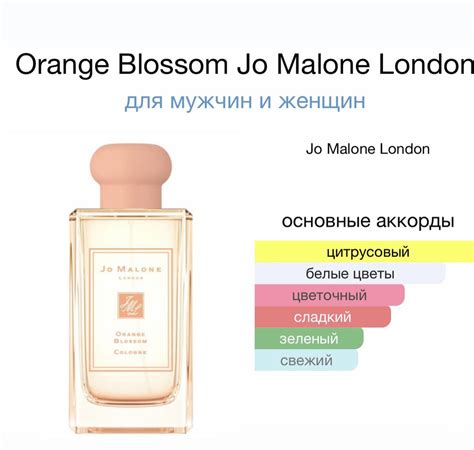 London Jo bdbdbdMalone nnnnnjjdjdjOrange Blossom нью -- объед! Одеколон ...