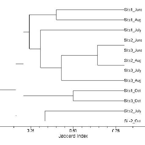 Dendrogram Constructed Using Values Of The Jaccard Similarity Download Scientific Diagram